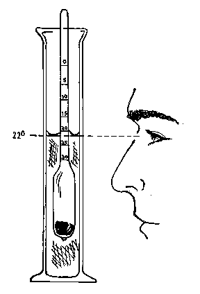 Hidrometras | Alus alus